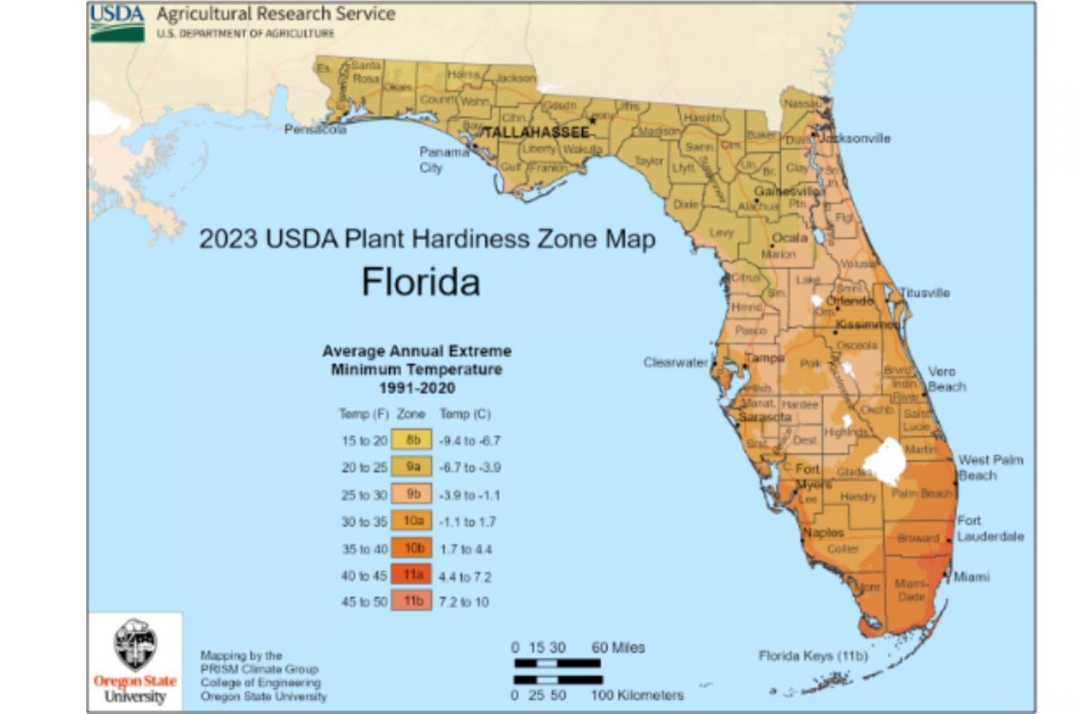 The Latest USDA Plant Hardiness Map Changes How, What, And When We Grow