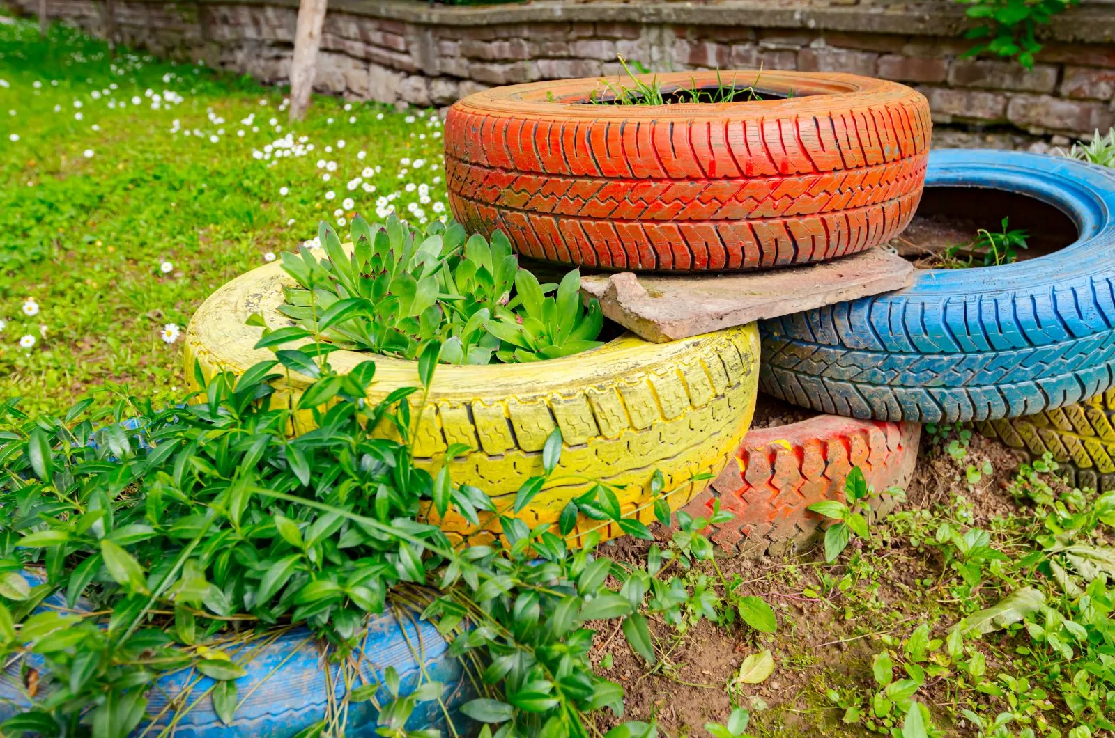 10 Ingenious Ways To Grow Strawberries