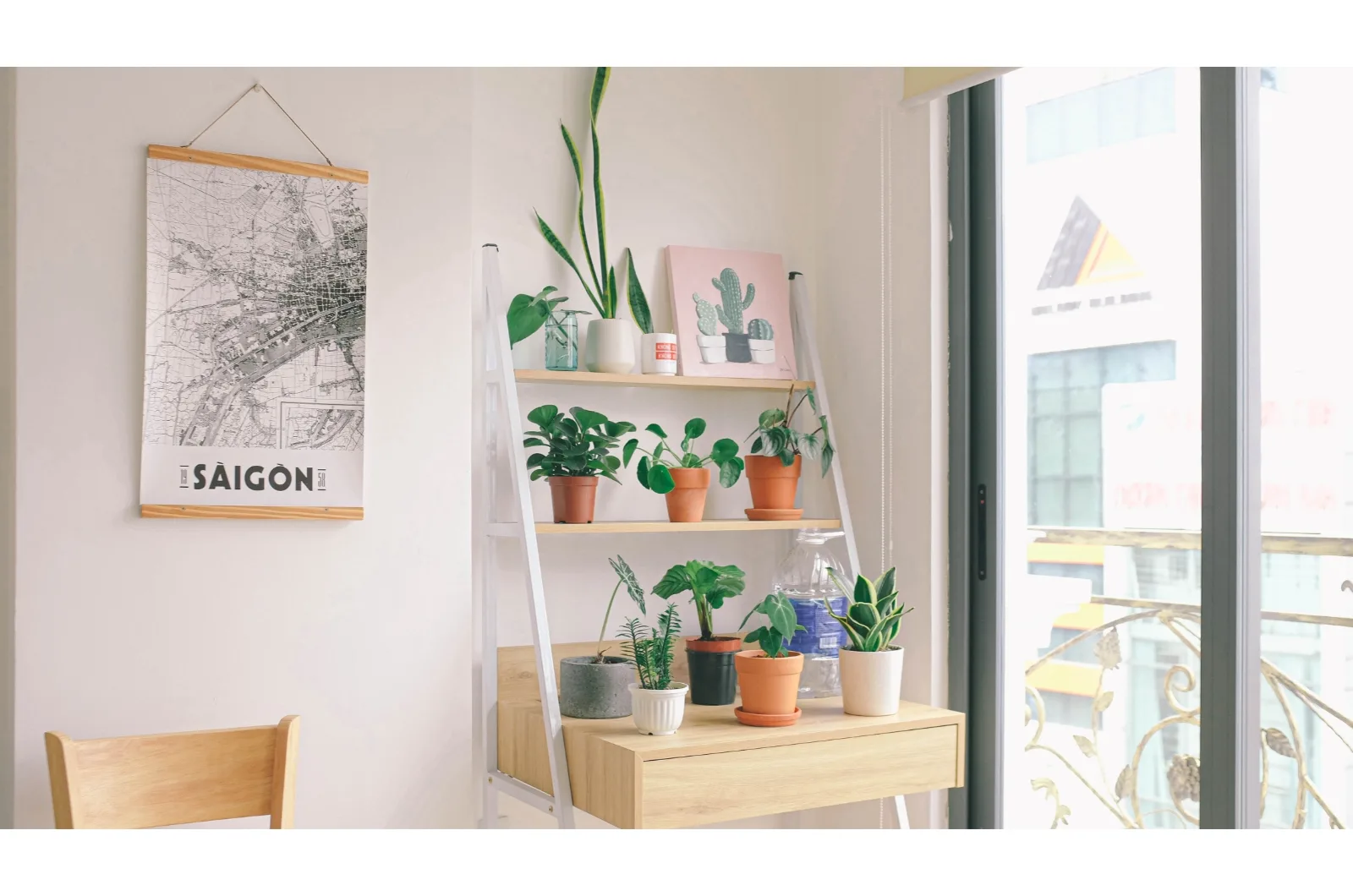 How To Fix Leggy Houseplants And Make Them Bushier