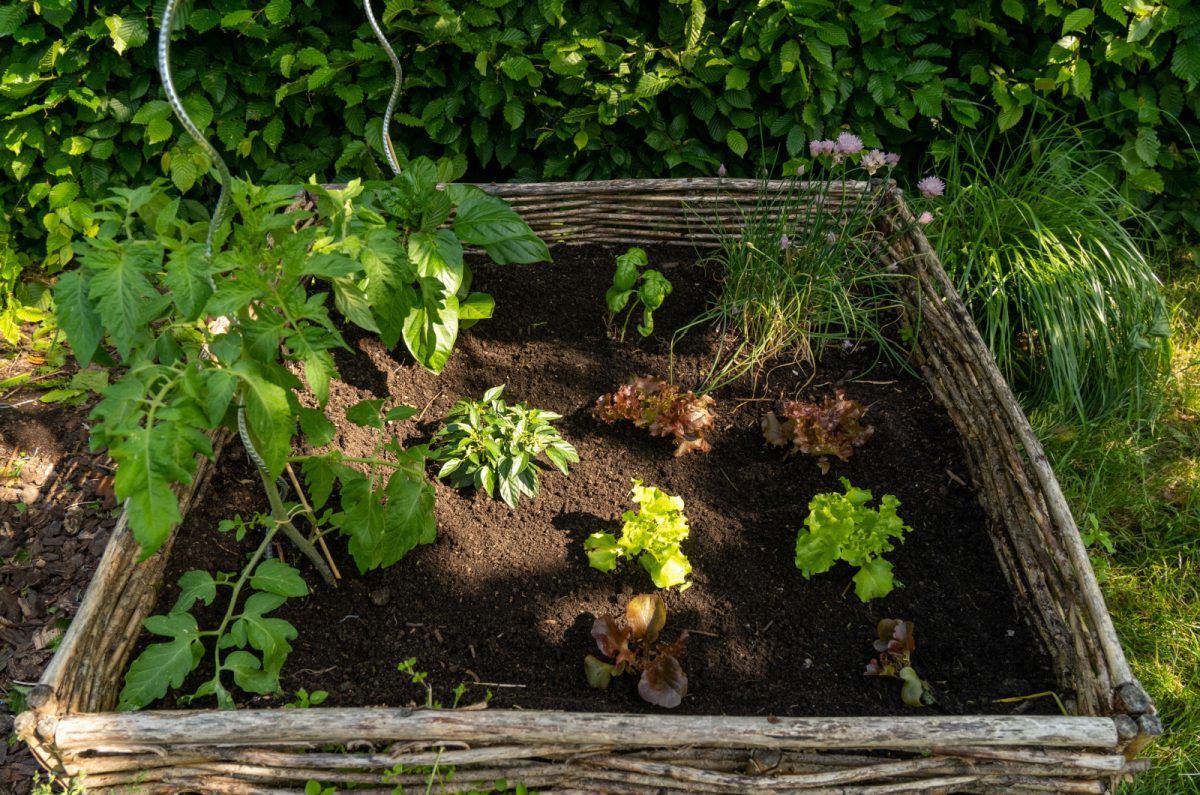 A Detailed Guide To Sun Exposure For Gardeners