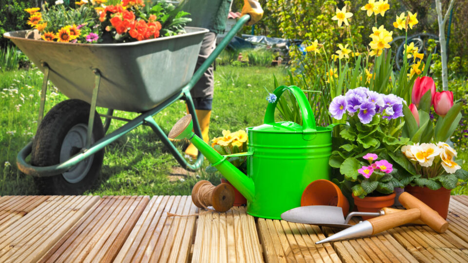 Ground-Up Garden: 12 Helpful Tips To Plant A Deck Garden