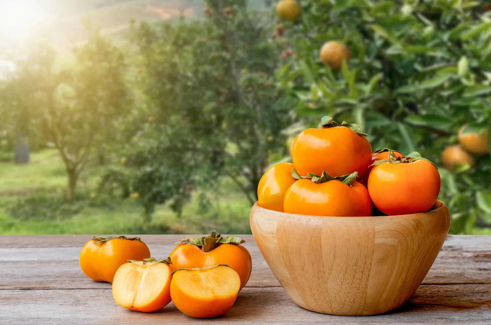 Tips For Growing A Persimmon Tree In A Container