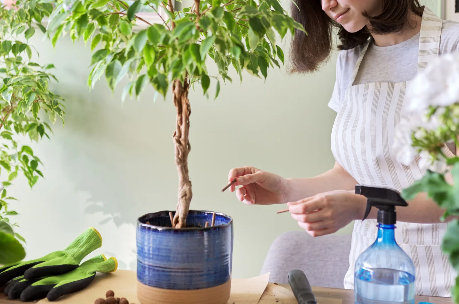 4 Signs Your Houseplant Soil Is Compacted And How To Fix It Easily