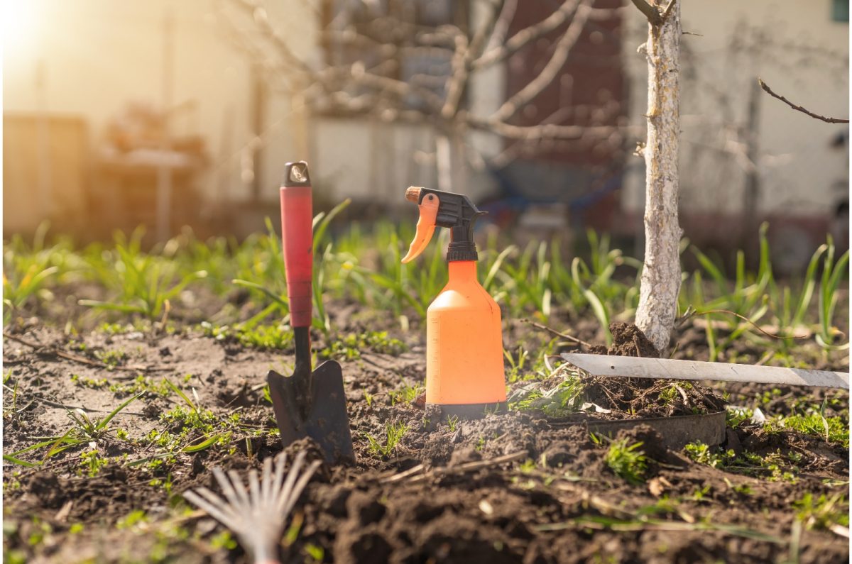 Ground-Up Garden: Here’s How To Prepare Your Garden Soil For Planting