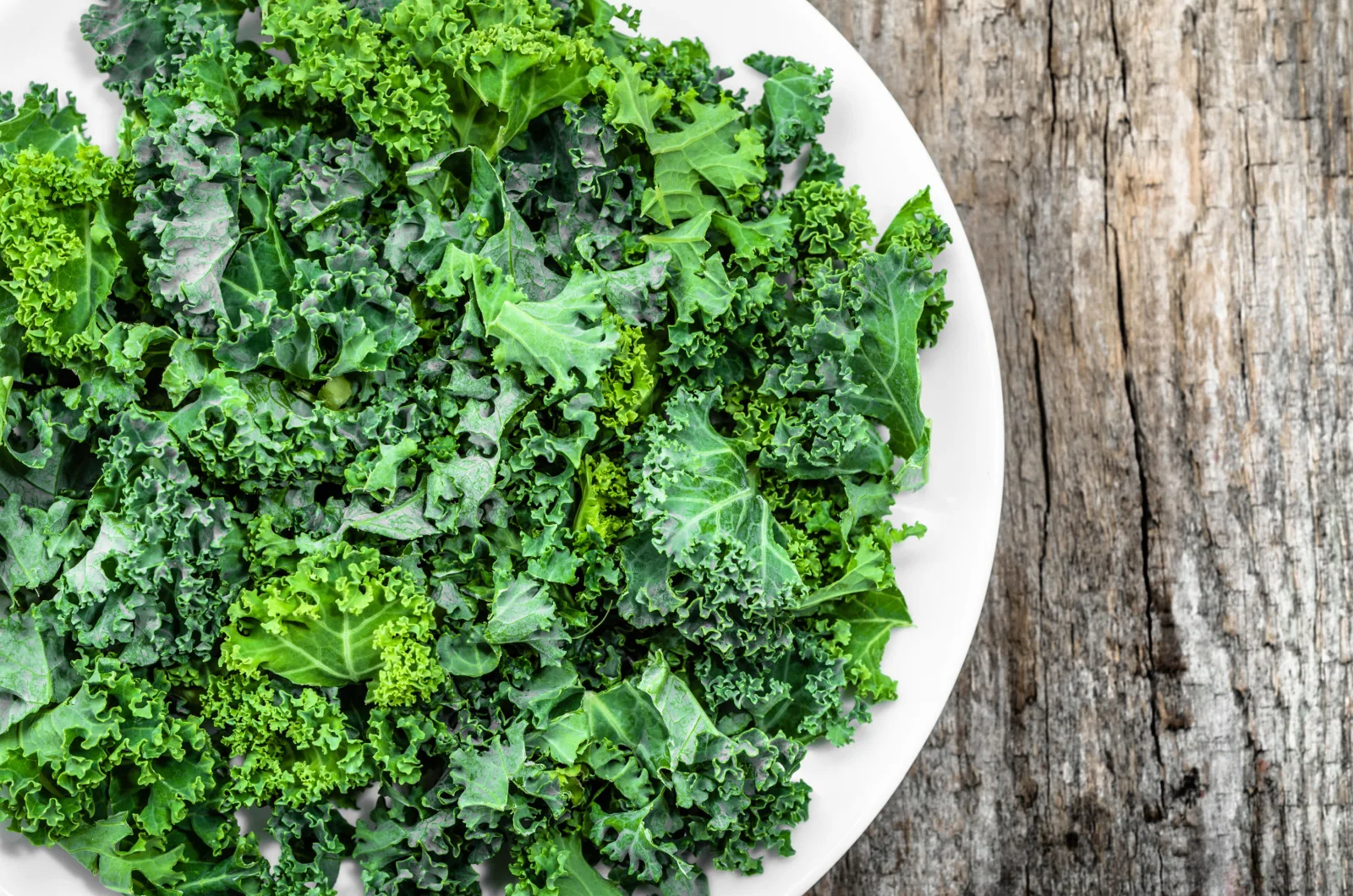 How To Store Kale To Keep It Crisp And Fresh For Longer