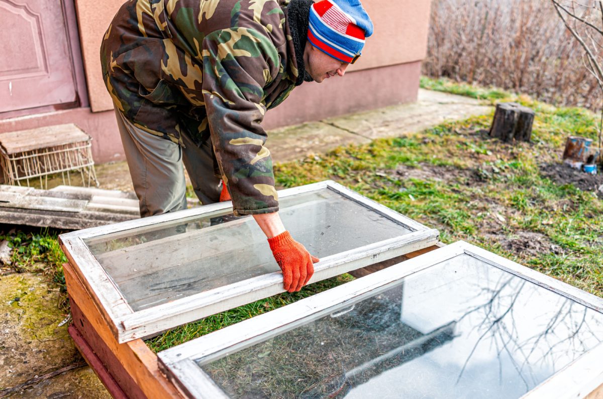 Ground-Up Garden: When And How To Harden Off Plants And Seedlings