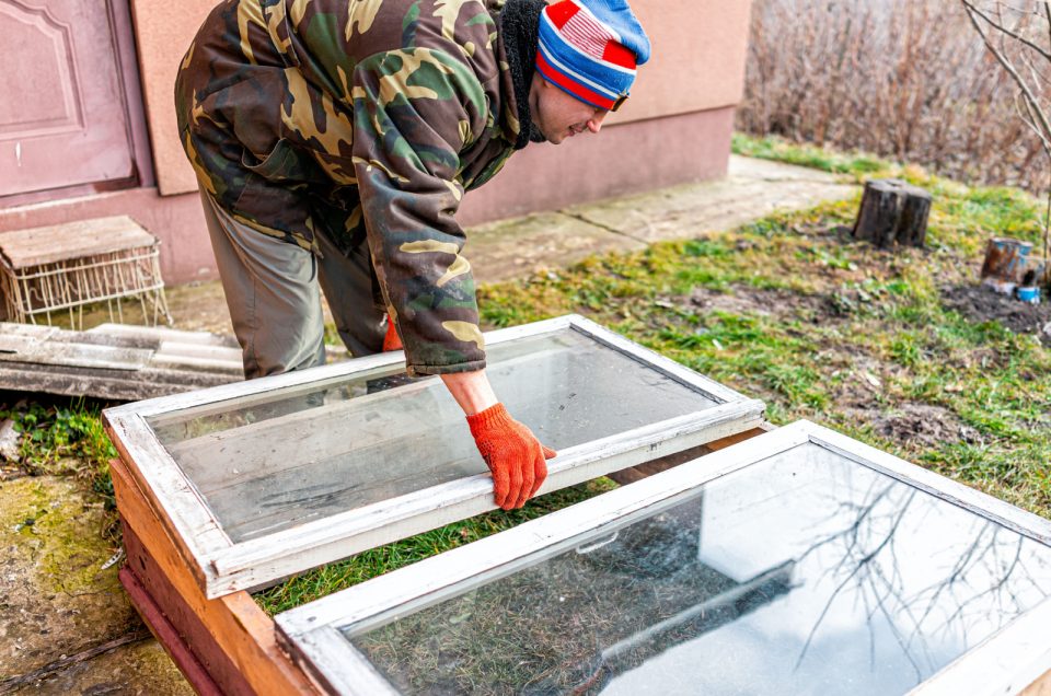 Ground-Up Garden: When And How To Harden Off Plants And Seedlings