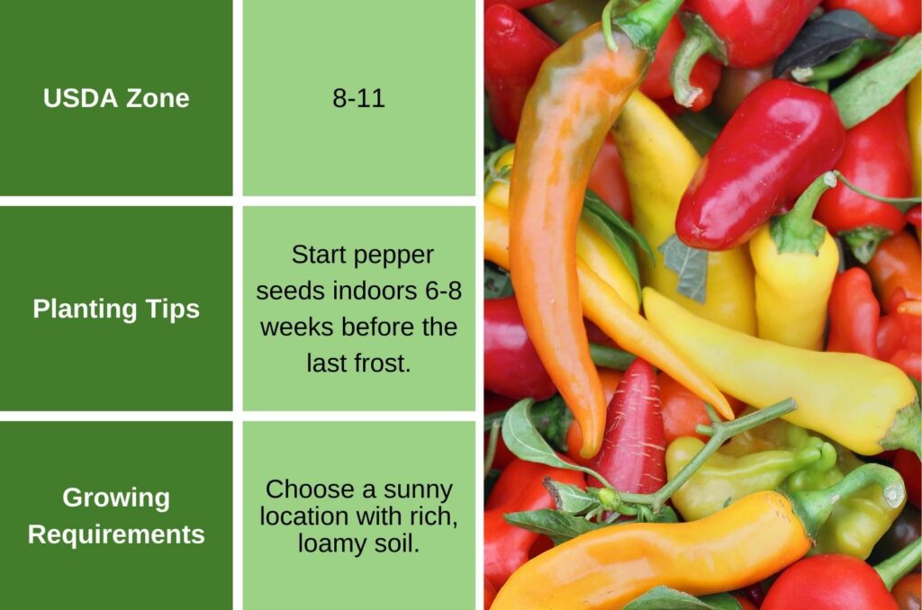 15 Veggies You Should Start In February