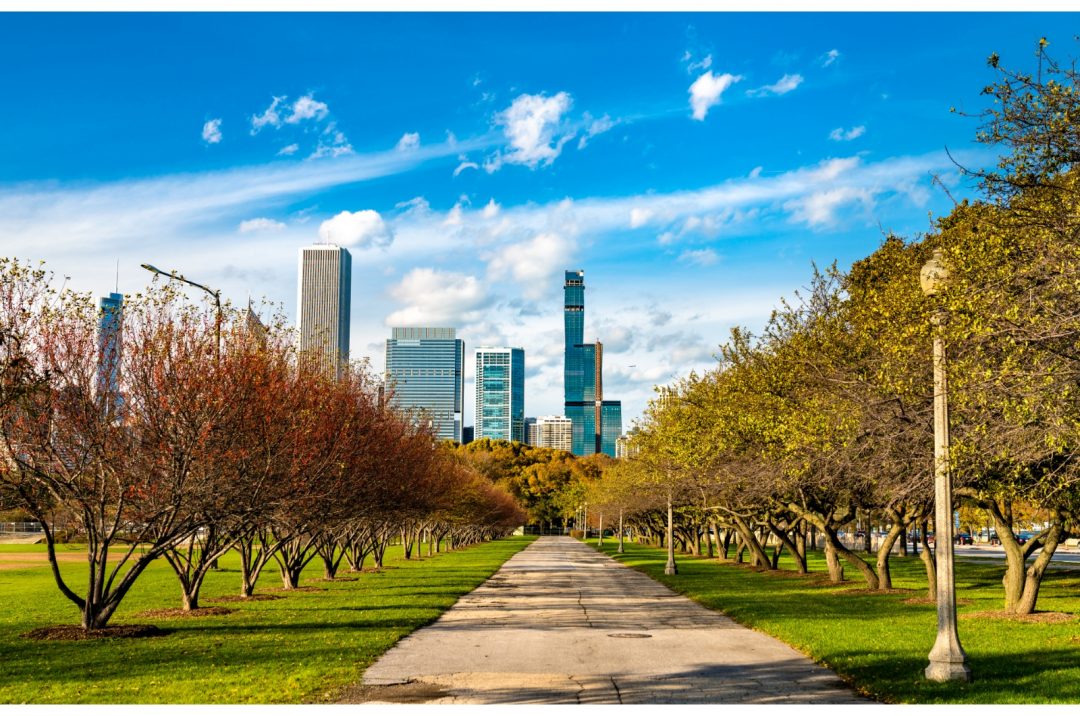 When You Should Start Seeds In USDA Zone 6