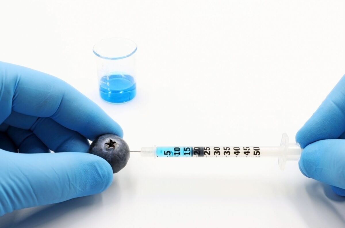 If You Believed These Blueberry Facts Were True, Prepared To Be Shocked