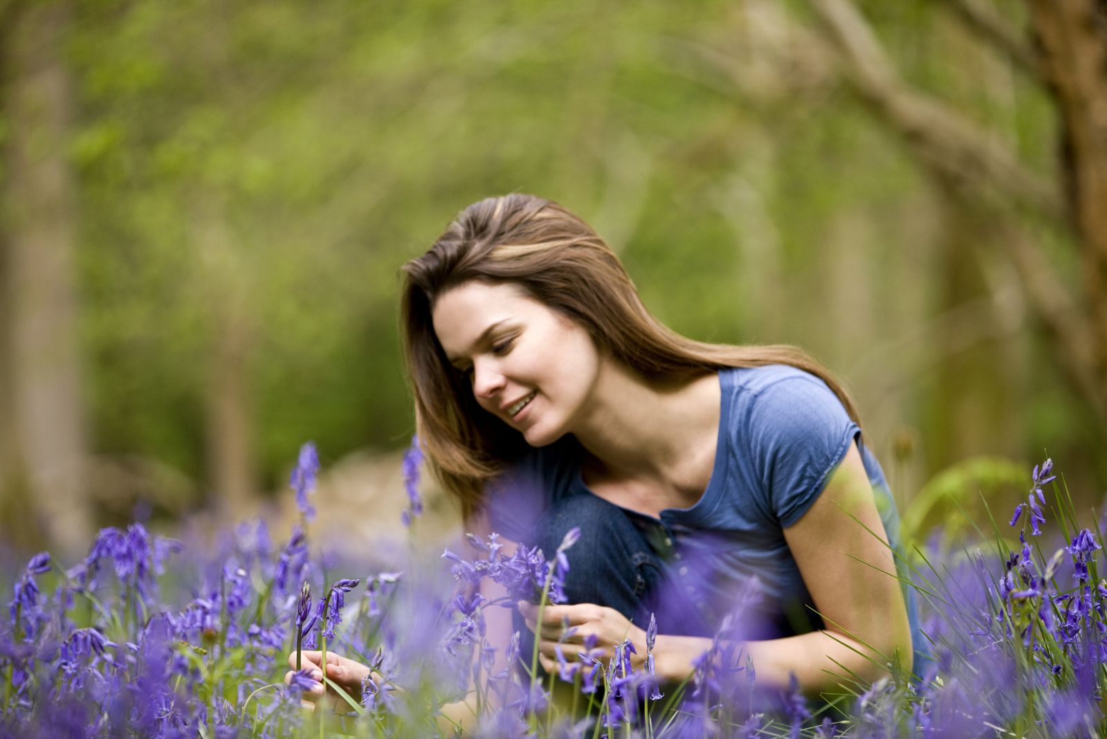 How To Grow And Care For Captivating Bellflowers