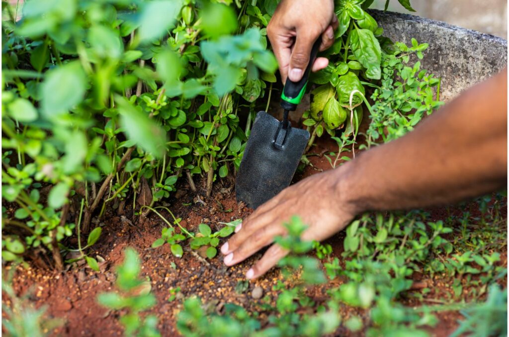 Exactly What Does The Color Of Your Garden Soil Mean?