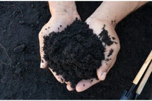 Exactly What Does The Color Of Your Garden Soil Mean?
