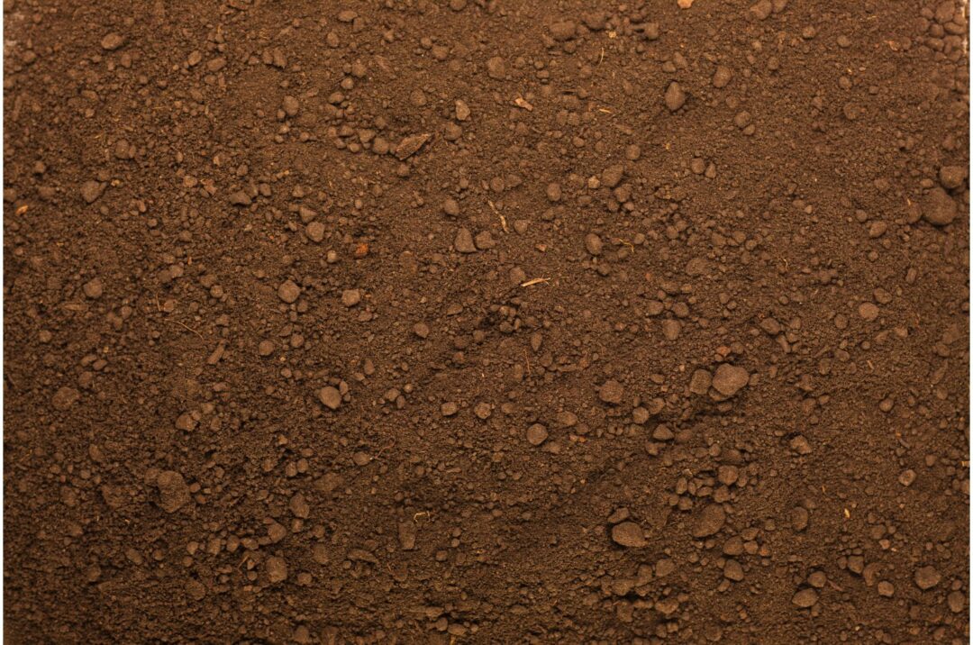 Exactly What Does The Color Of Your Garden Soil Mean?
