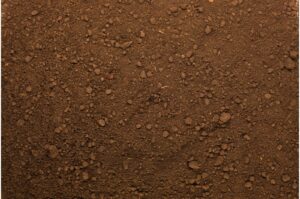 Exactly What Does The Color Of Your Garden Soil Mean?
