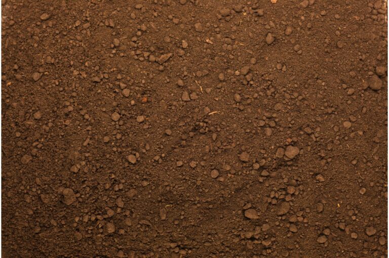 Exactly What Does The Color Of Your Garden Soil Mean?
