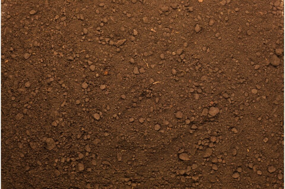 Exactly What Does The Color Of Your Garden Soil Mean?