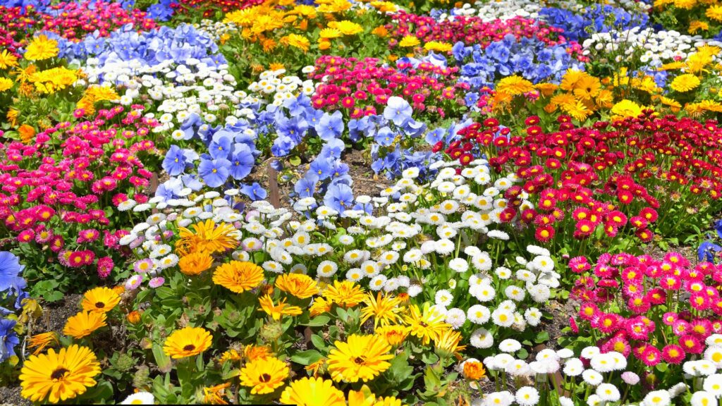 Use These 3 Fertilizers To Make Your Flowers Flourish Like Never Before
