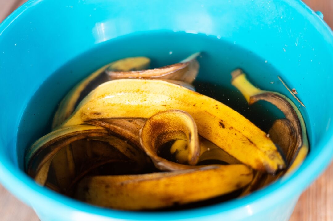10 Absolutely Fantastic Banana Hacks You Should Be Using In Your Home ...