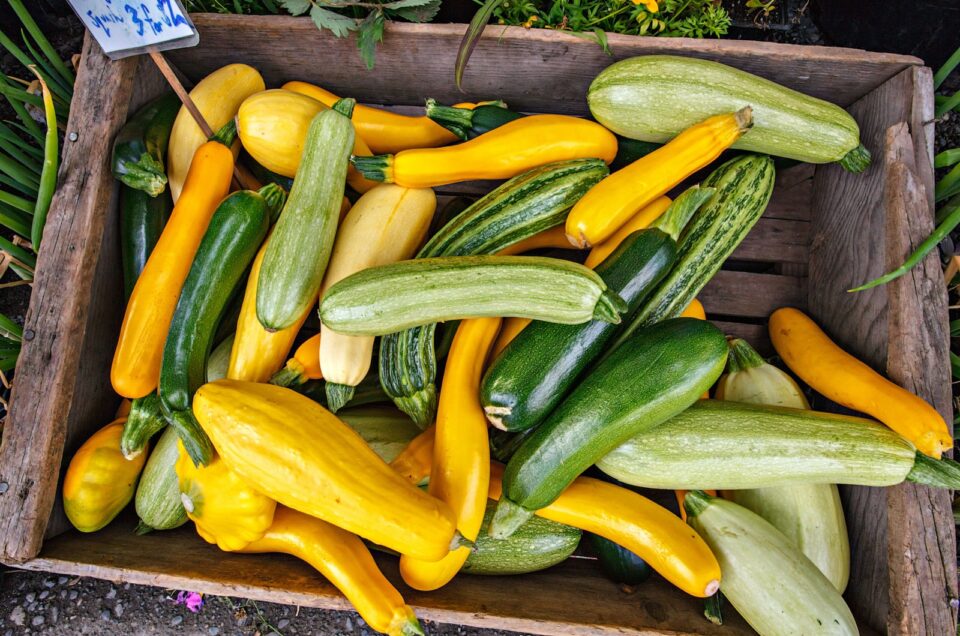 No Garden? No Problem! Just Follow This Step-by-Step Guide For Growing ...