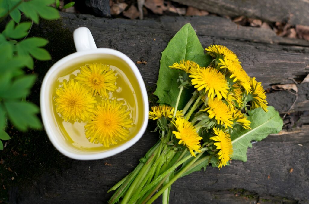 25 Ingenious Ways You Can Use Dandelions Instead Of Throwing Them Away