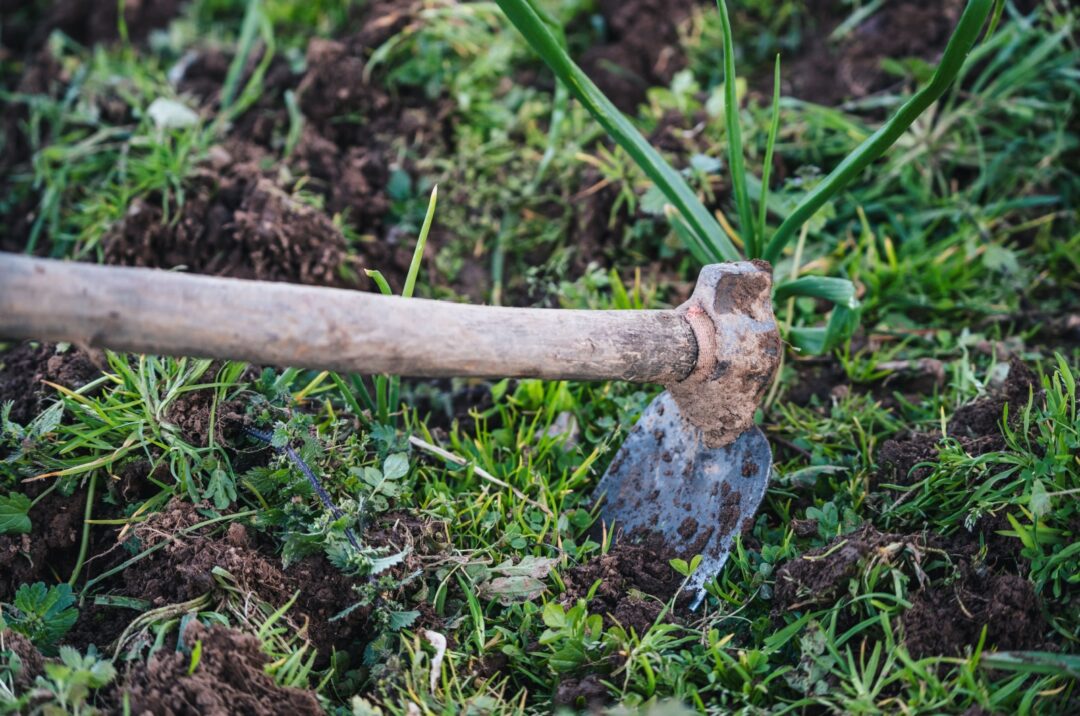 6 Weed Control Tips You Need To Banish Weeds From Your Garden For Good