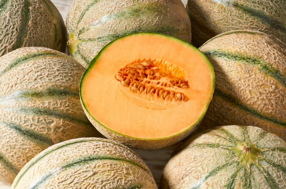 Follow These 7 Easy Steps To Homegrown Melons and Enjoy The Fruits Of ...