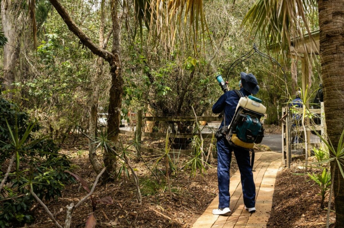 5 Proven Methods To Rid Your Yard Of Midges Once And For All