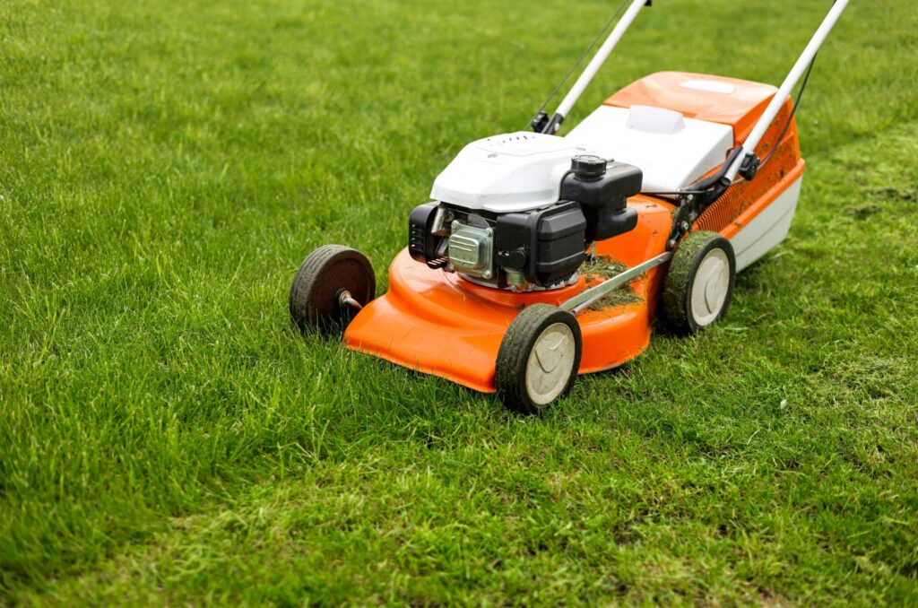 You Won't Believe How Amazing Your Lawn Will Look If You Mow It At The ...