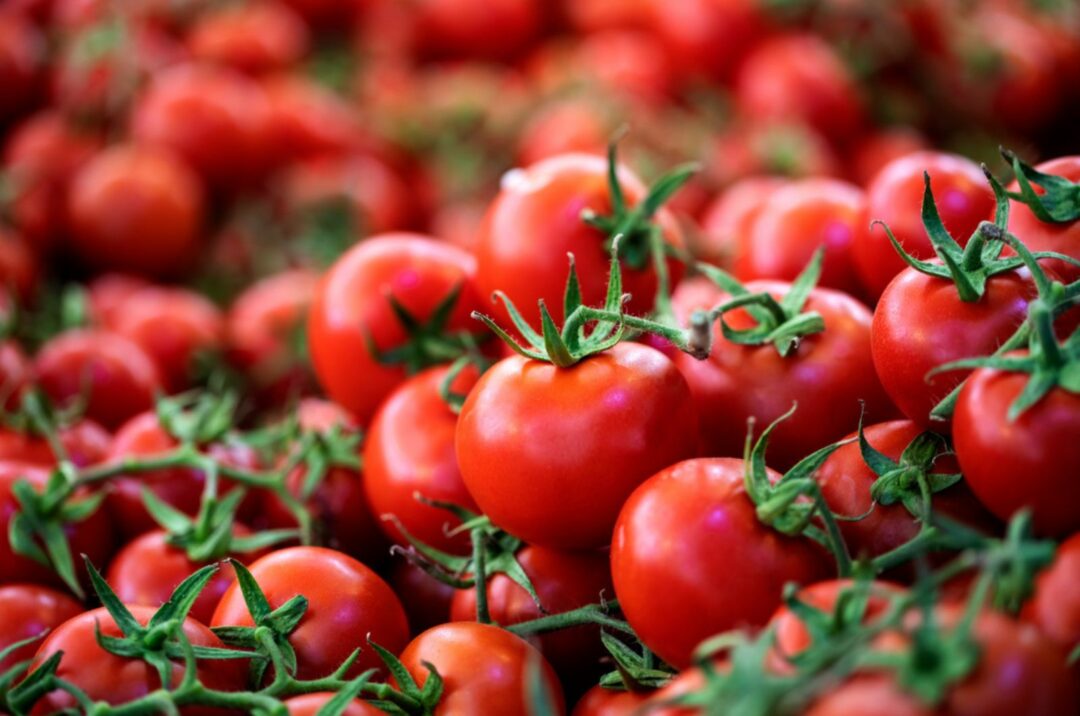 These 4 Types Of Juicy Tomatoes Will Be A Perfect Match For Your Pots