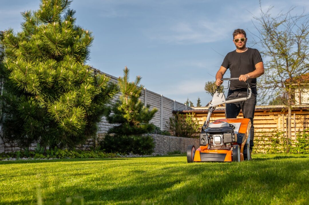 You Won't Believe How Amazing Your Lawn Will Look If You Mow It At The ...