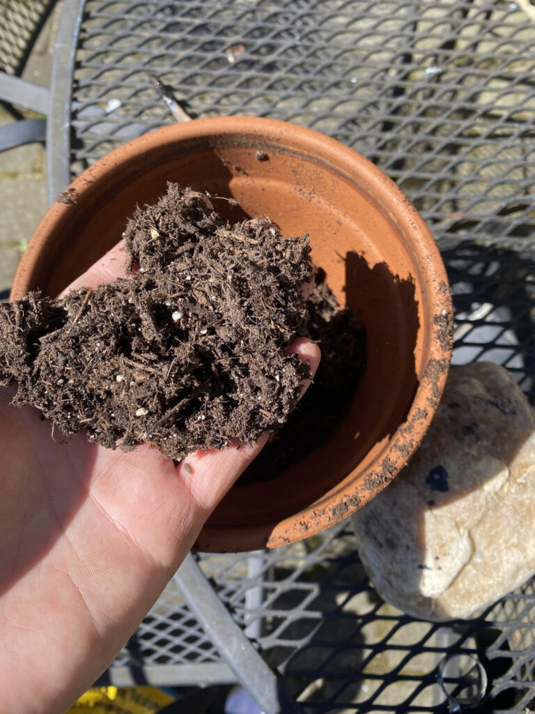 Say Goodbye To The Stinky Smell From Houseplants That's Spreading ...