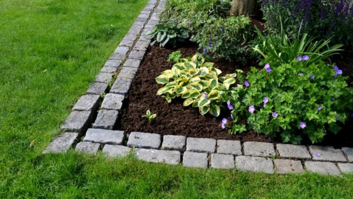 4 Simple DIY Tricks You Need To Try For Sharp Lawn Edging That Will ...