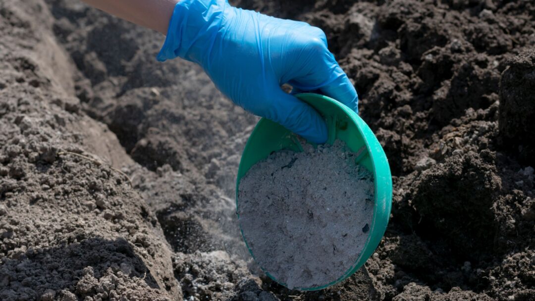 45 Brilliant Wood Ash Uses For Indoor And Outdoor Spaces