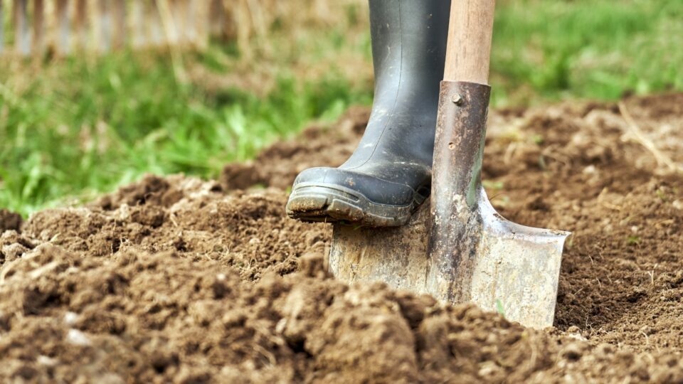 7 Tips To Break Up Clay Soil And Improve Your Garden