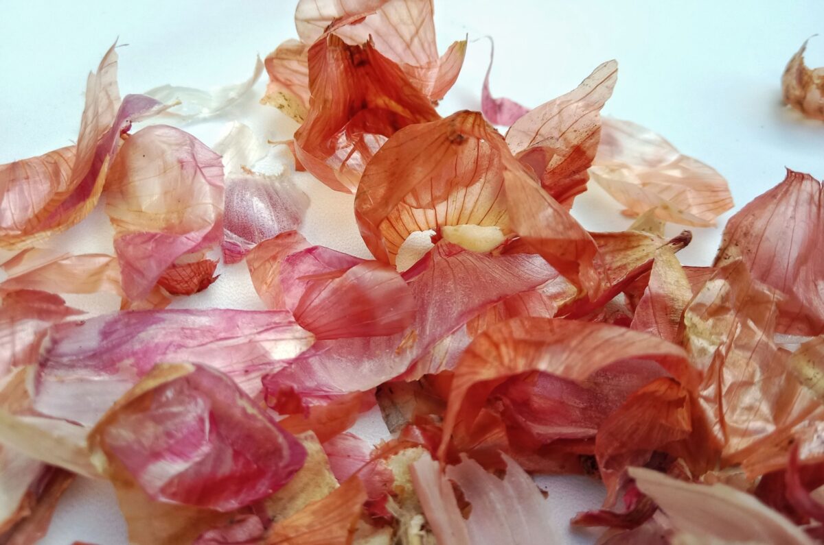 Discover 10 Ways Onion Skins Enhance Your Garden And Boost Health