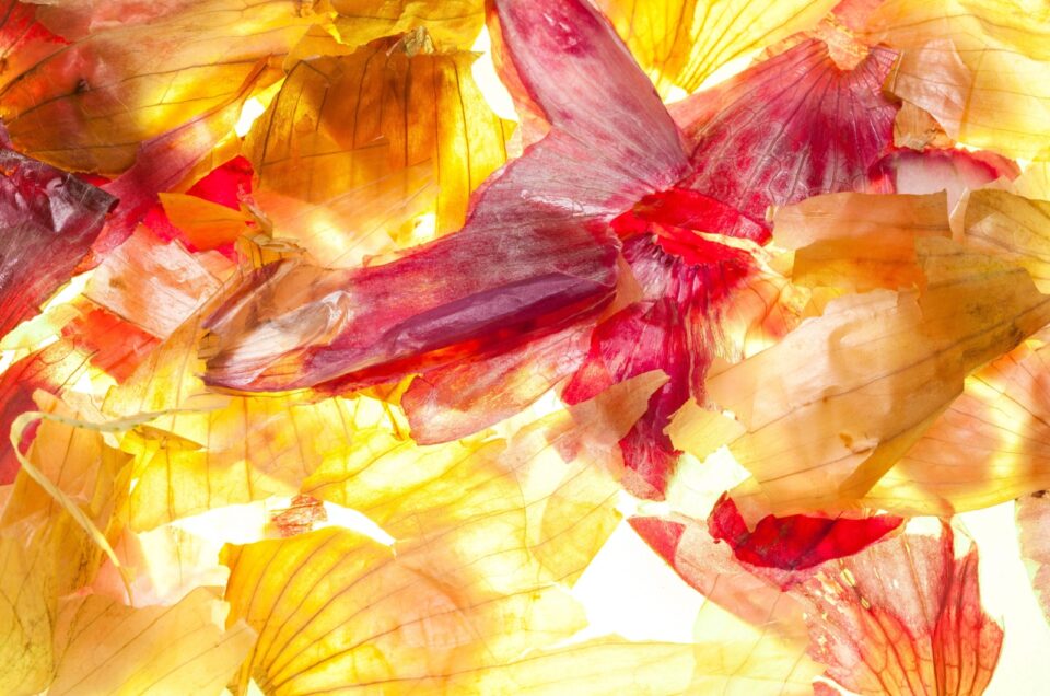 Discover 10 Ways Onion Skins Enhance Your Garden And Boost Health