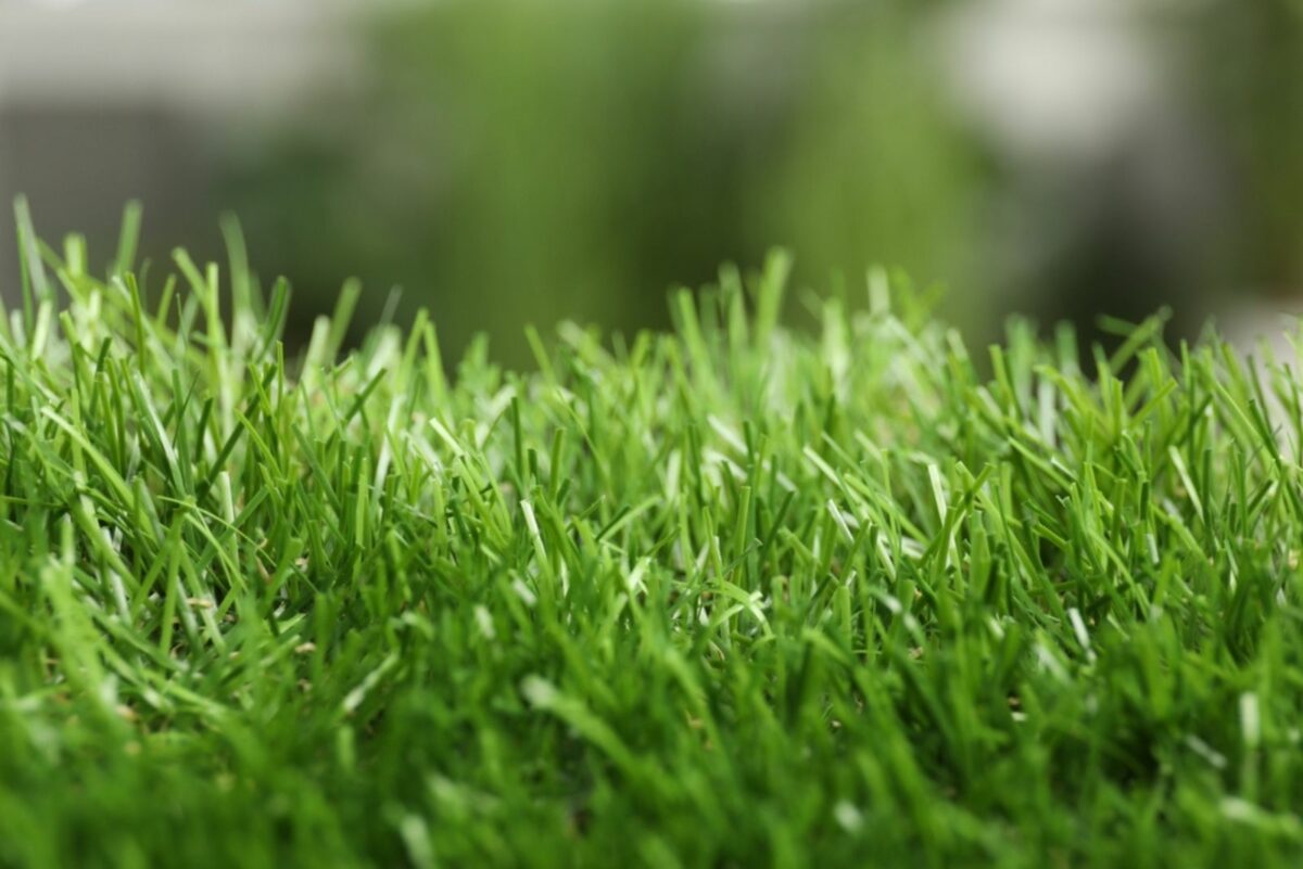What’s The Best Height To Cut Grass For A Healthy, Polished Lawn