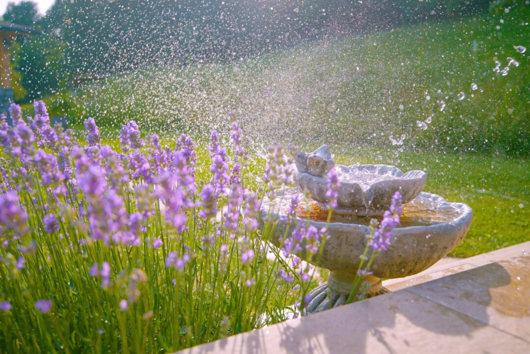 16 Brilliant Ideas For Landscaping With Lavender For A Dreamy Garden