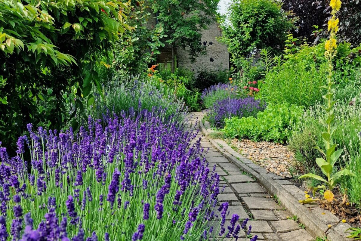 16 Brilliant Ideas For Landscaping With Lavender For A Dreamy Garden