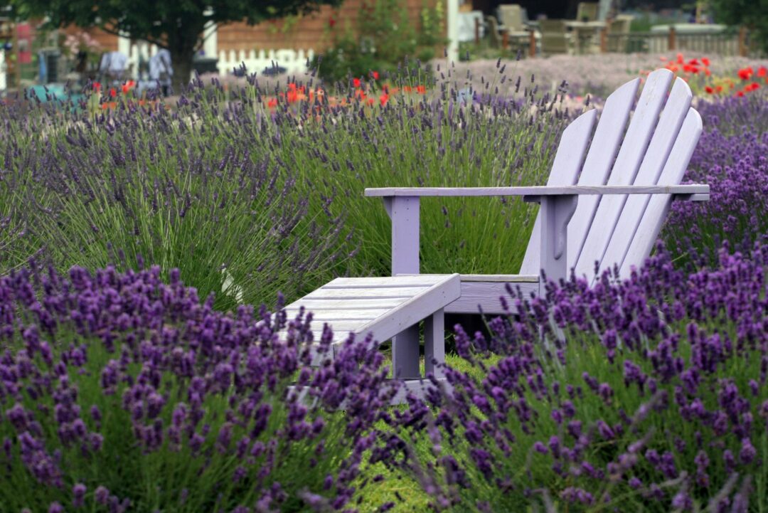 16 Brilliant Ideas For Landscaping With Lavender For A Dreamy Garden