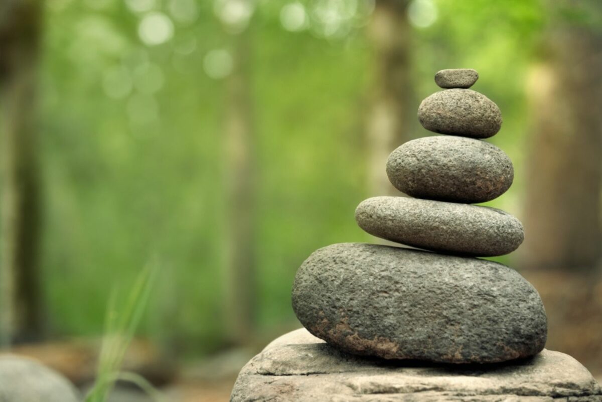 20 Inspiring DIY Ideas For A Gorgeous Rock Garden