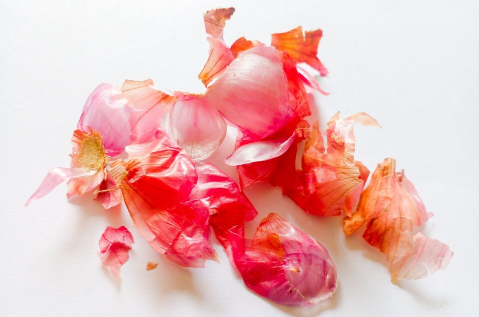 Discover 10 Ways Onion Skins Enhance Your Garden And Boost Health