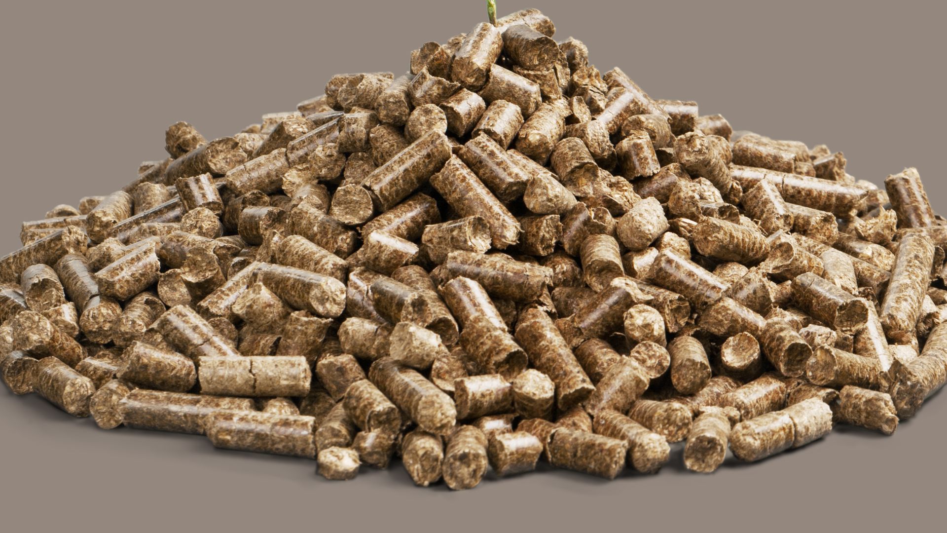 25 Weird But Effective Things To Add To Your Garden Soil
