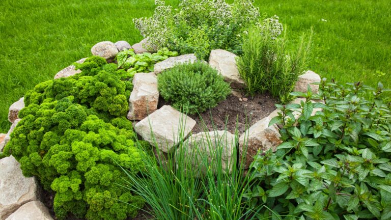 How To Use Rocks In Landscaping: 31 Brilliant Ways For A Stunning And ...