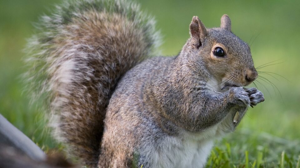 31 Mistakes You're Making When Planting Flower Bulbs—and How to Avoid Them