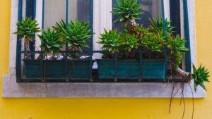 32 Succulent Garden Ideas That Will Add Sculptural Dimension To Your ...