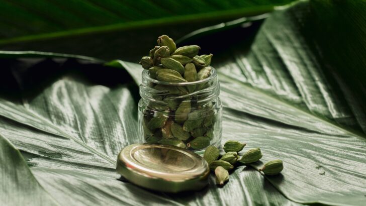 10 Ways I’ve Repurposed Mason Jar Lids (And How They Transformed My ...