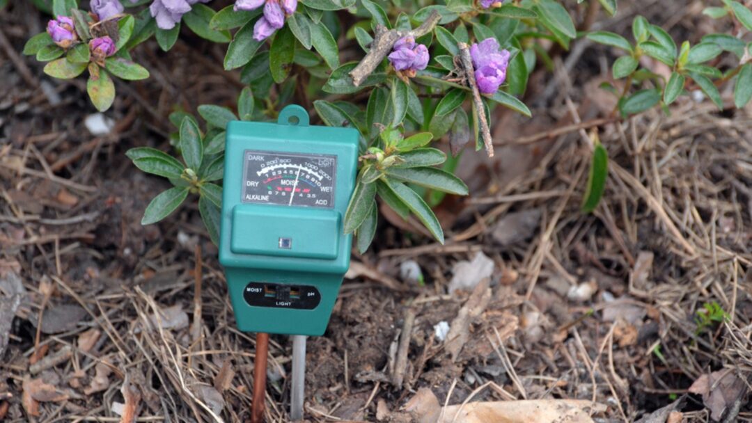 20 Common Gardening Mistakes That Ruin Soil Health (And The Easiest ...