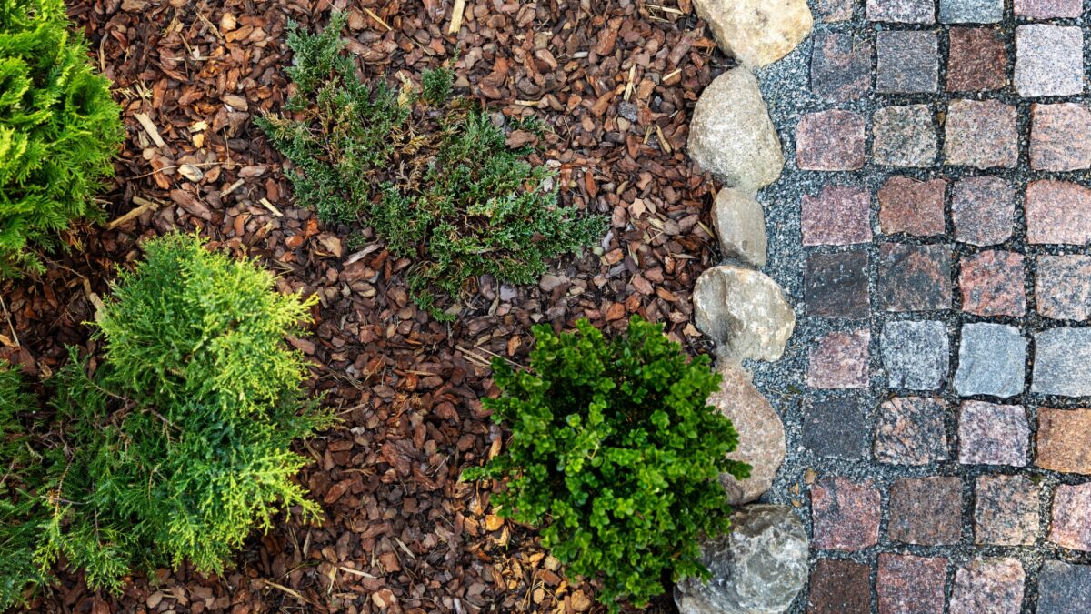22 Paver Landscape Edging Ideas To Add Curb Appeal To Your Yard